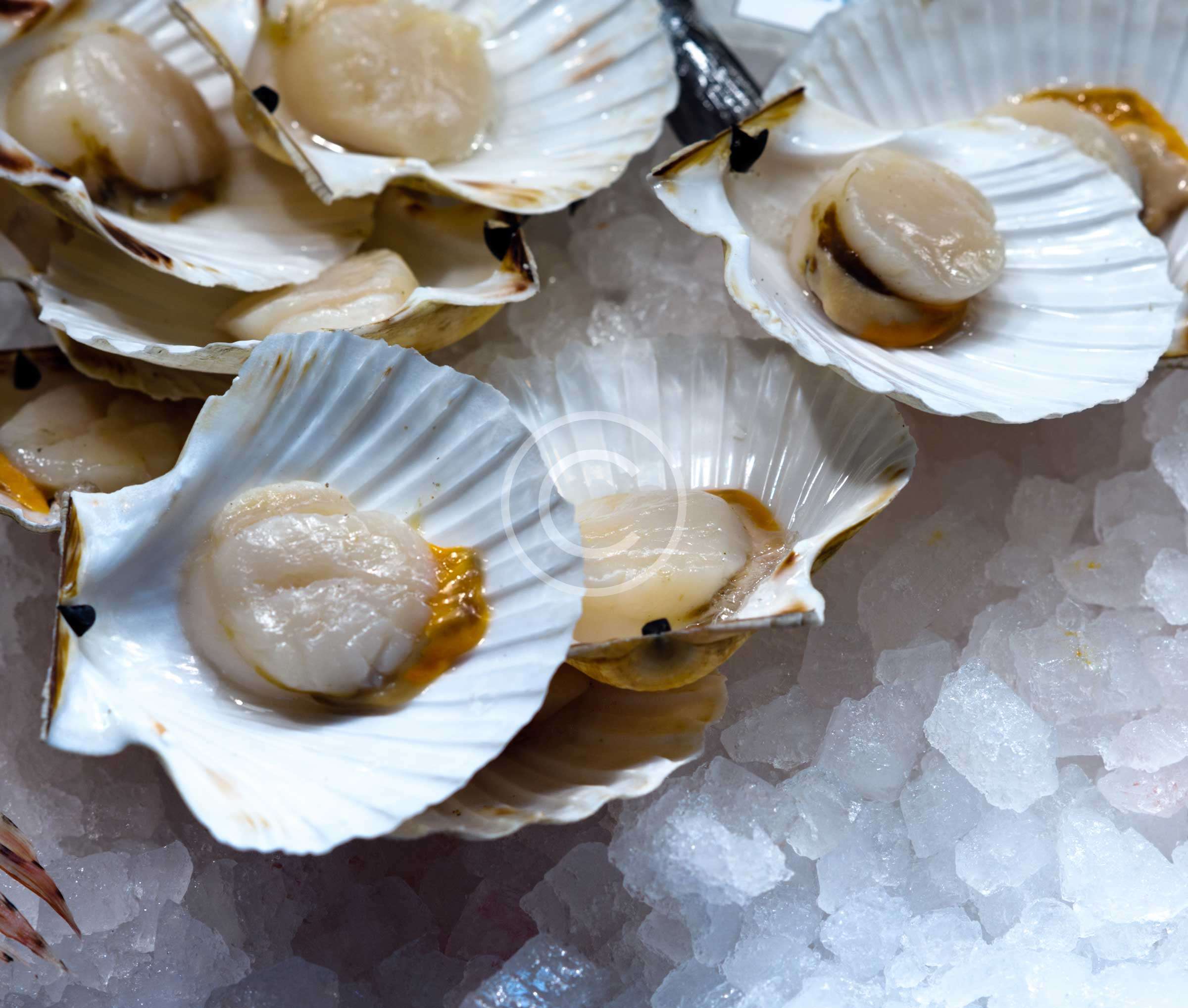 A safe way to exotic seafood tasting – Fischhandel Gehricke